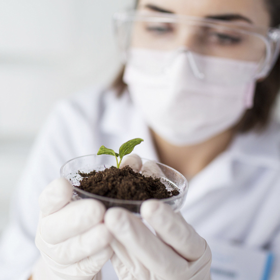 Ciências Biológicas (Licenciatura)